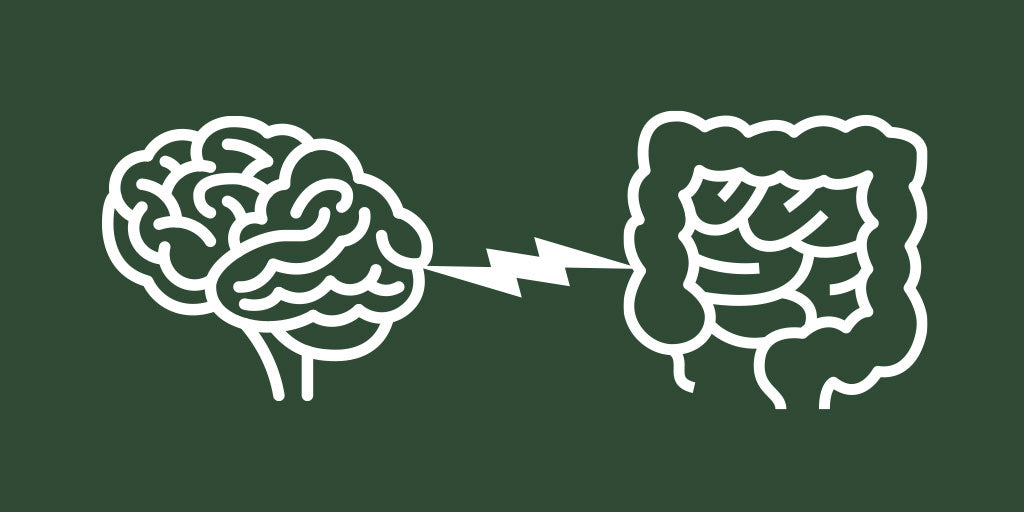 The Gut-Brain Connection for Better Health | Doctors Biome